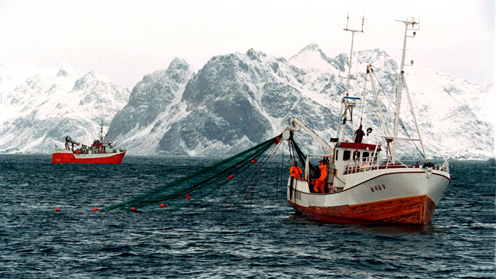 This Robot Can Transform Norwegian fishing industry - Dailyscandinavian ...